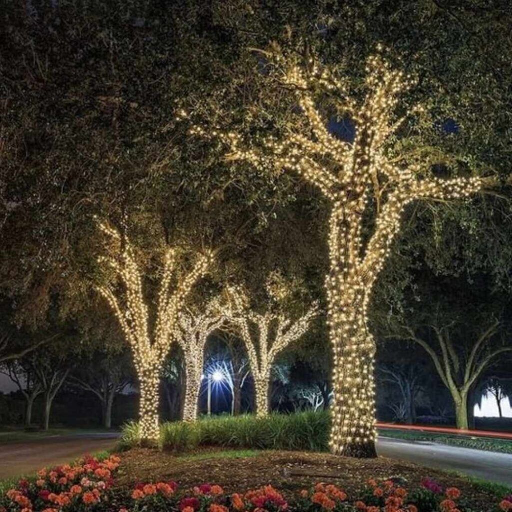 Permanent Outdoor LED Decorative Light Install in Perth – Festoon ...