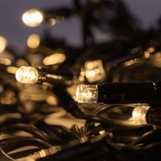 Buy Outdoor Fairy Lights – Festoon Lighting Perth