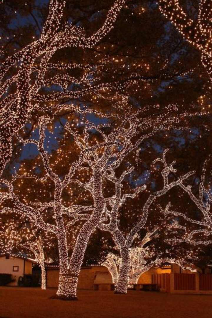 Permanent Outdoor LED Decorative Light Install in Perth – Festoon ...