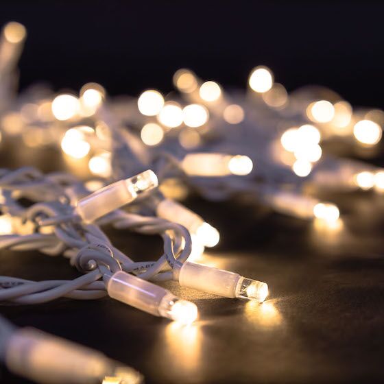 Buy Outdoor Fairy Lights – Festoon Lighting Perth